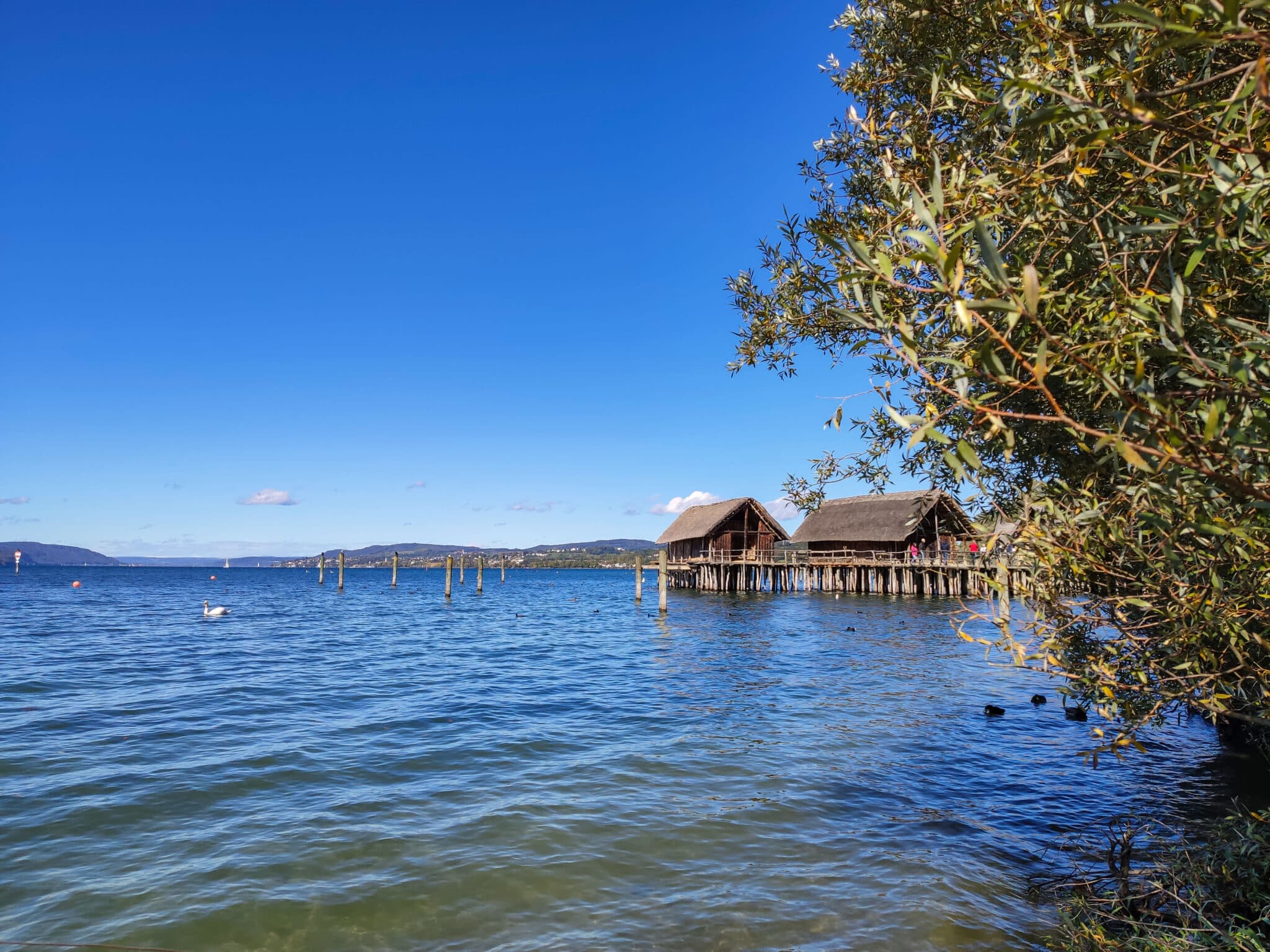 TOP 10 Bodensee Sehenswürdigkeiten und Ausflugsziele - individuelle ...