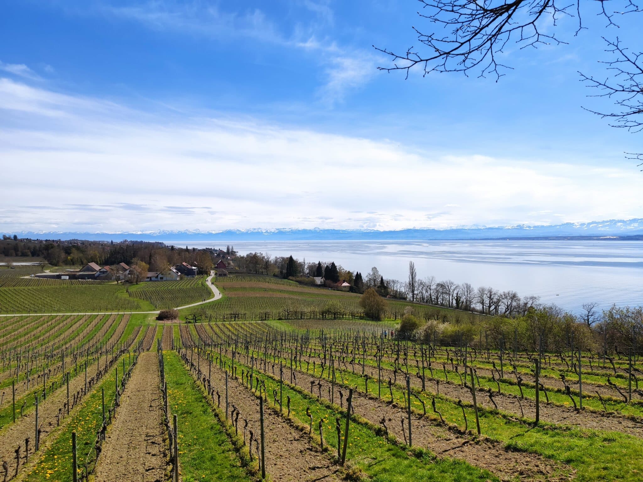 Meersburger Höhenweg: Bodensee Rundwanderung mit Panoramablick