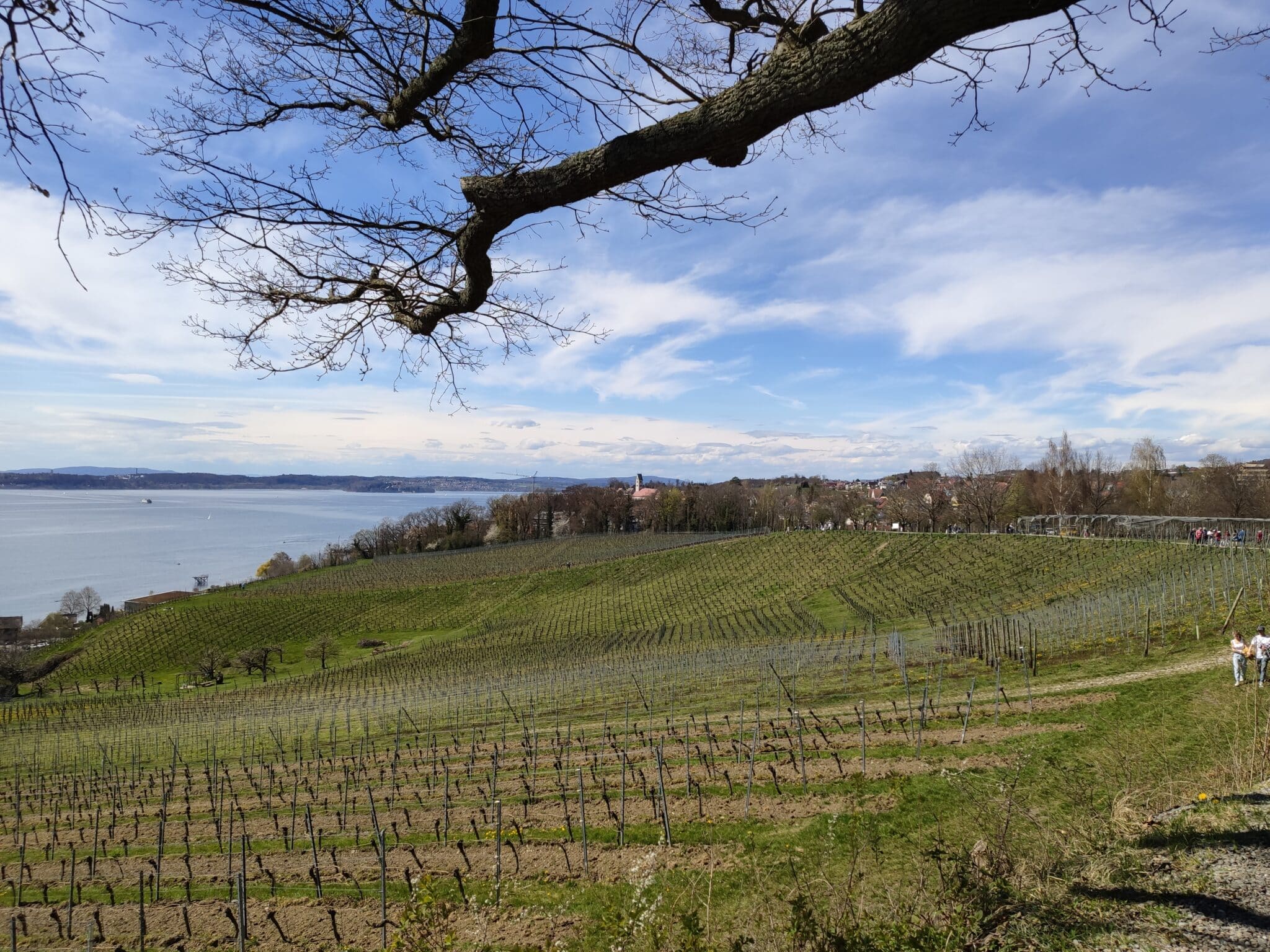 Meersburger Höhenweg: Bodensee Rundwanderung mit Panoramablick