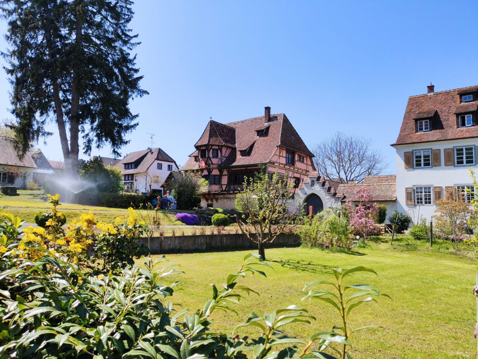 Insel Reichenau am Bodensee: Sehenswürdigkeiten & parken