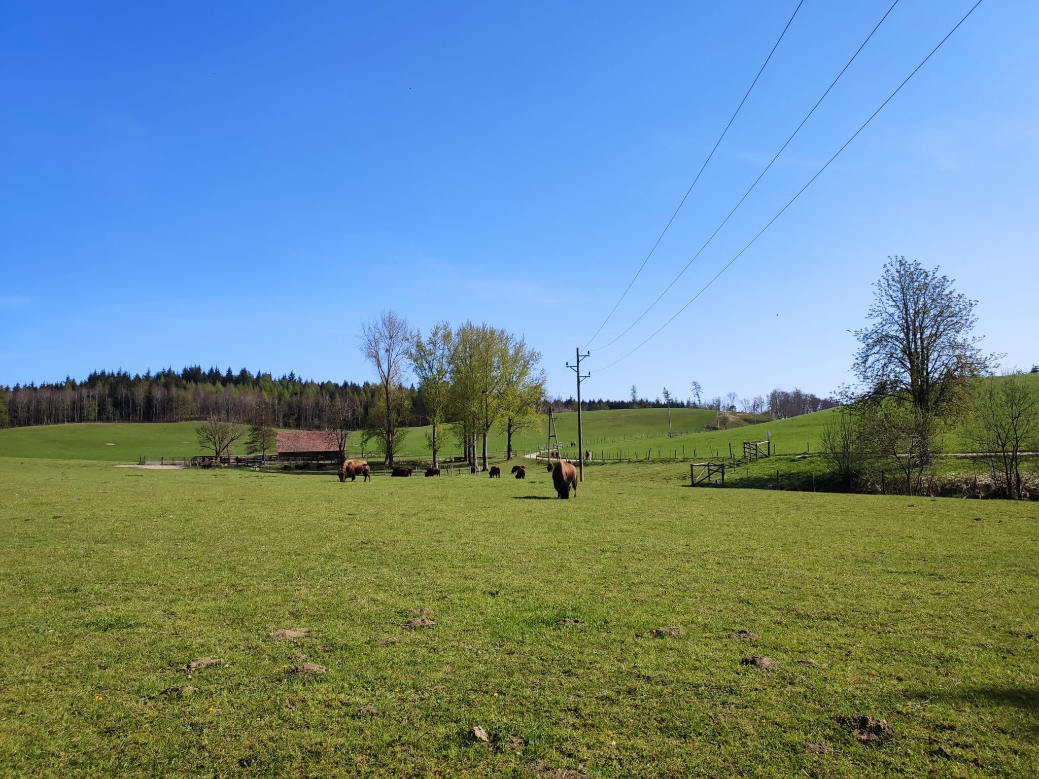 Wanderung Bodanrück: Ruine Altbodman, Burg Frauenberg & Bodman