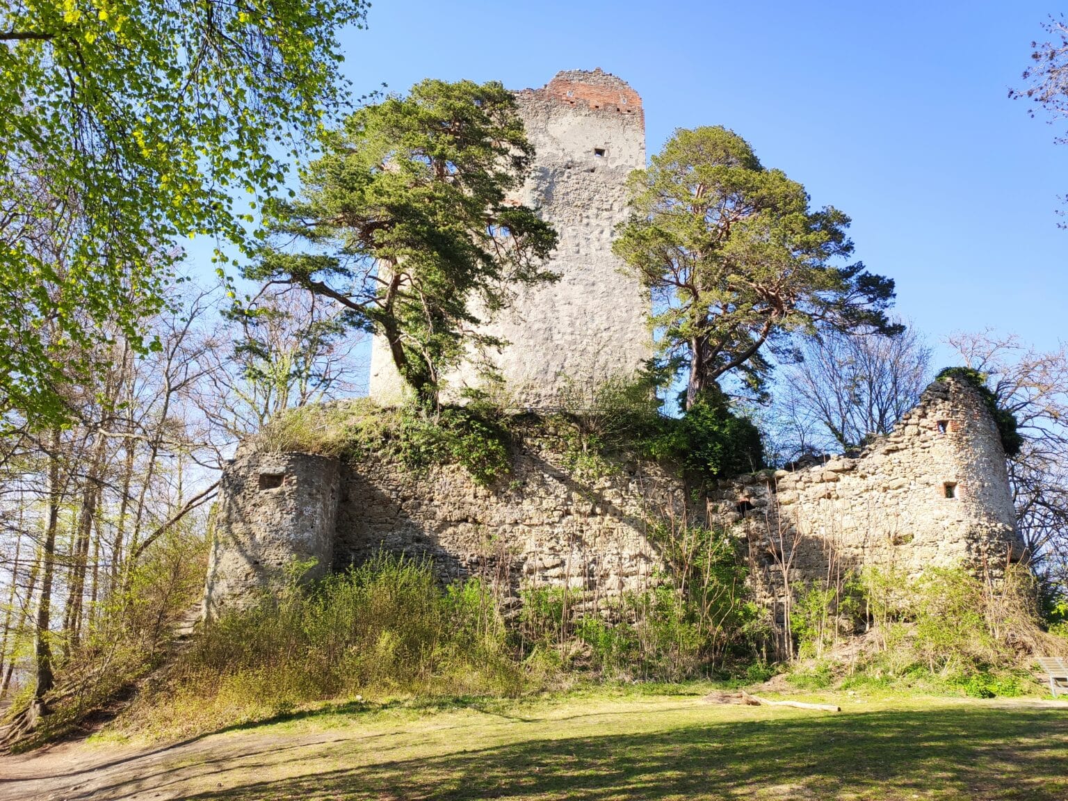 Wanderung Bodanrück: Ruine Altbodman, Burg Frauenberg & Bodman