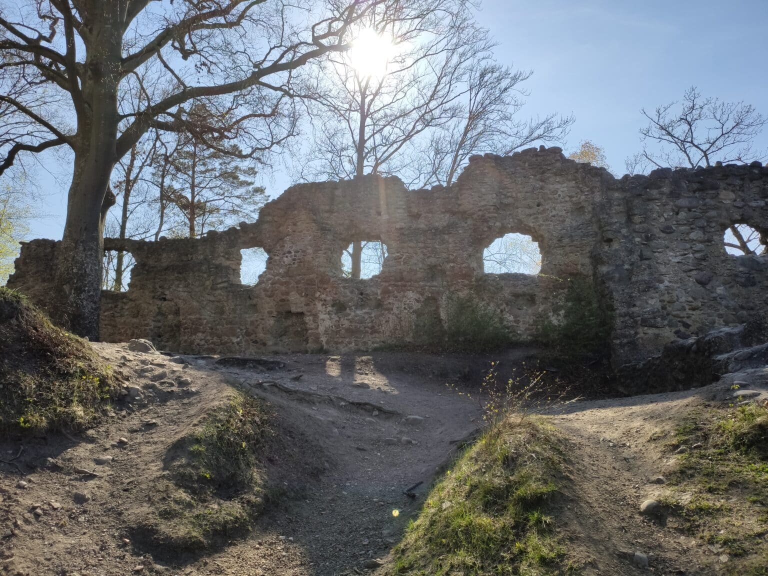 Wanderung Bodanrück: Ruine Altbodman, Burg Frauenberg & Bodman