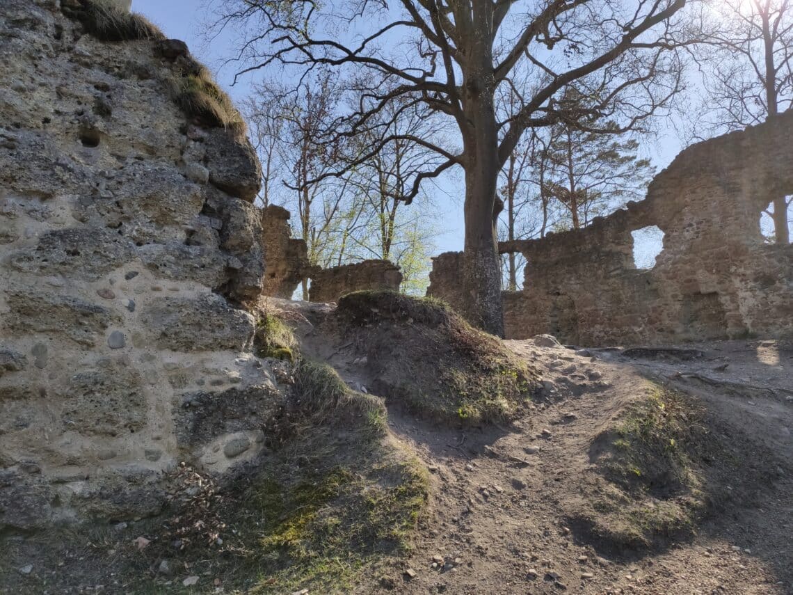 Wanderung Bodanrück: Ruine Altbodman, Burg Frauenberg & Bodman