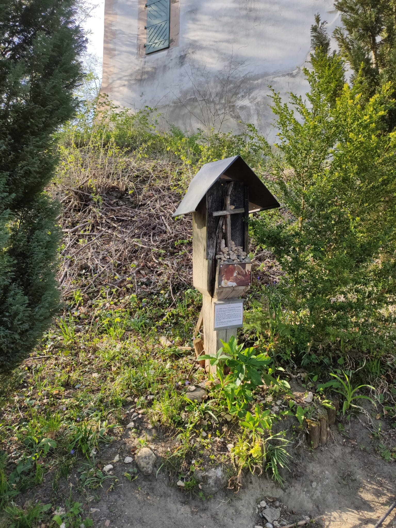 Wanderung Bodanrück: Ruine Altbodman, Burg Frauenberg & Bodman