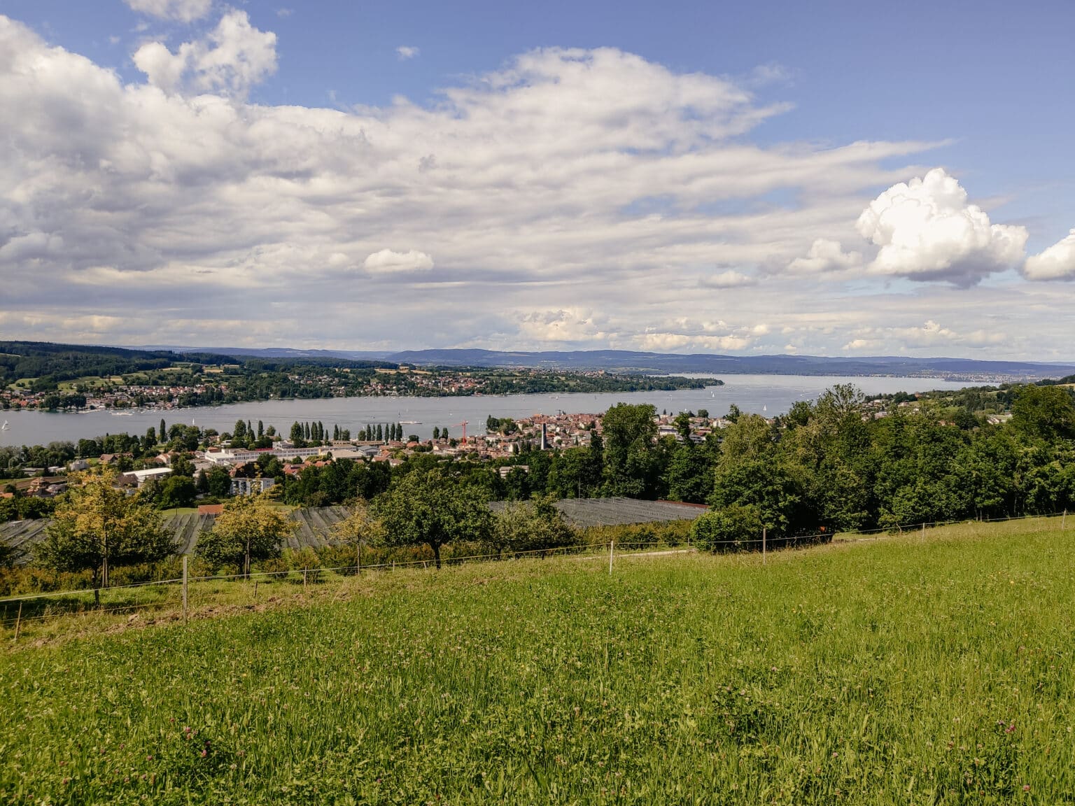 Die schönsten Aussichtspunkte auf der Schweizer Seite des Bodenseer ...