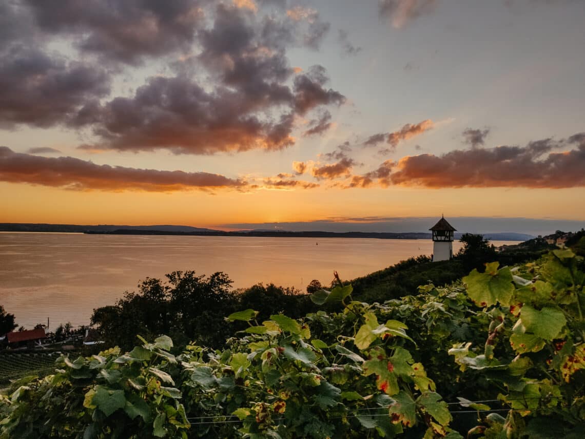 Meersburger Höhenweg: Bodensee Wanderung mit Panoramablick