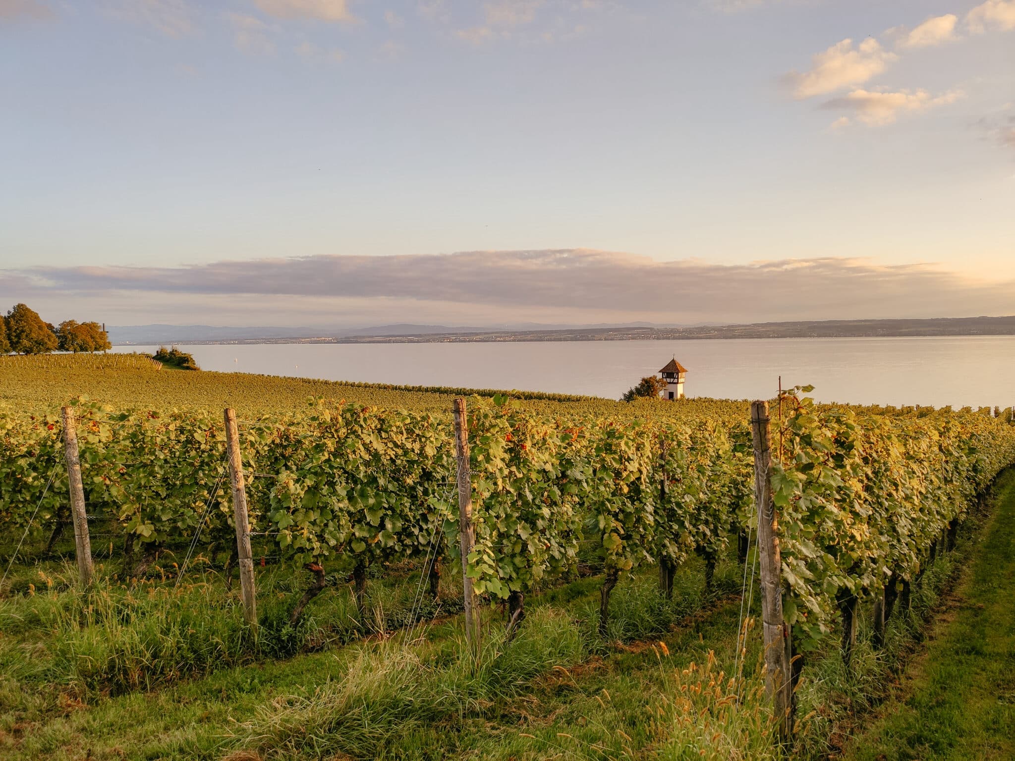 Meersburger Höhenweg: Bodensee Wanderung mit Panoramablick
