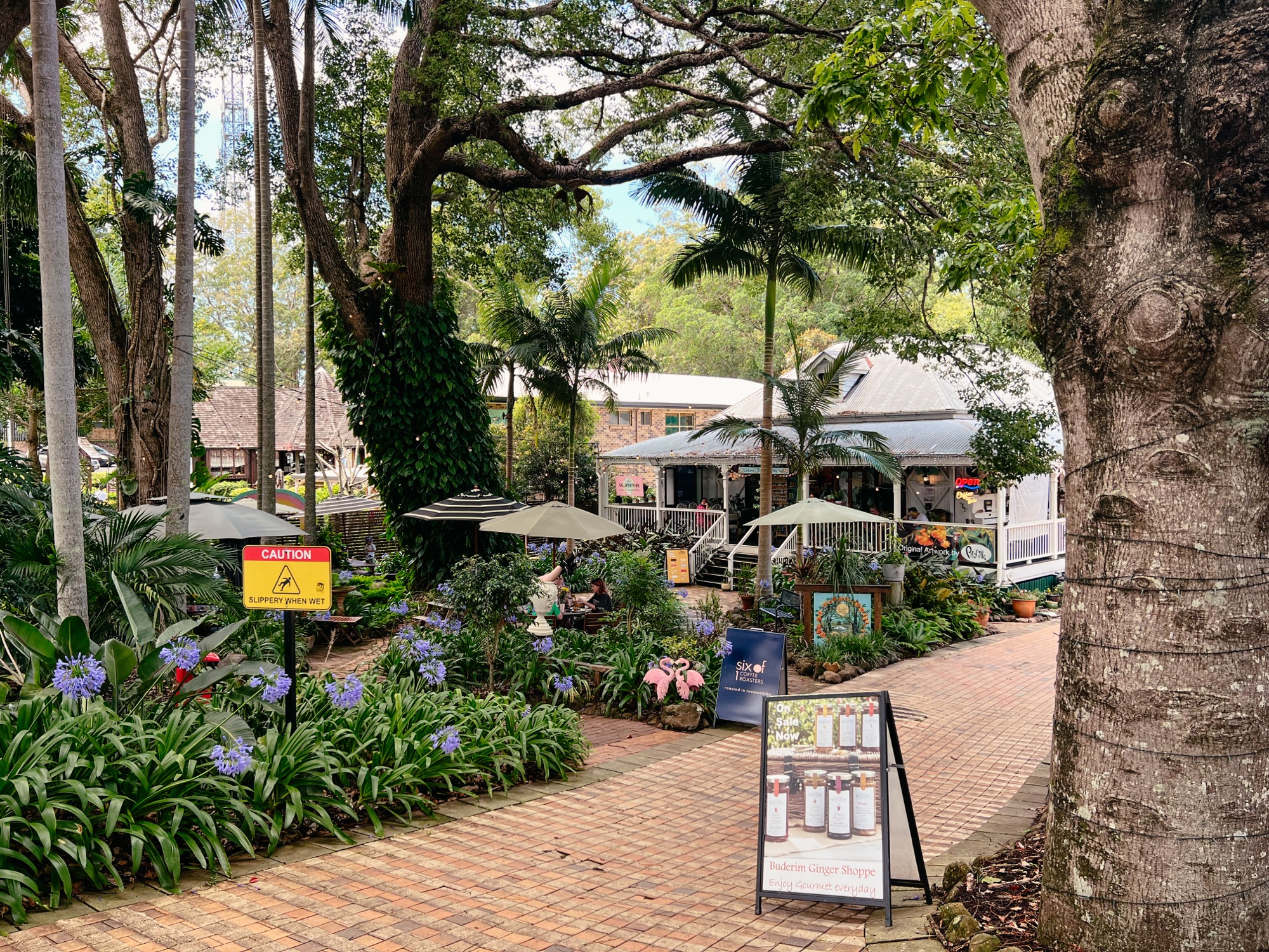 Sunshine Coast Hinterland: Montville, Mapleton, Maleny & Co.