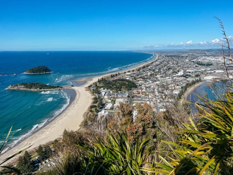 Tauranga in Neuseeland: TOP 15 Sehenswürdigkeiten & Aktivitäten