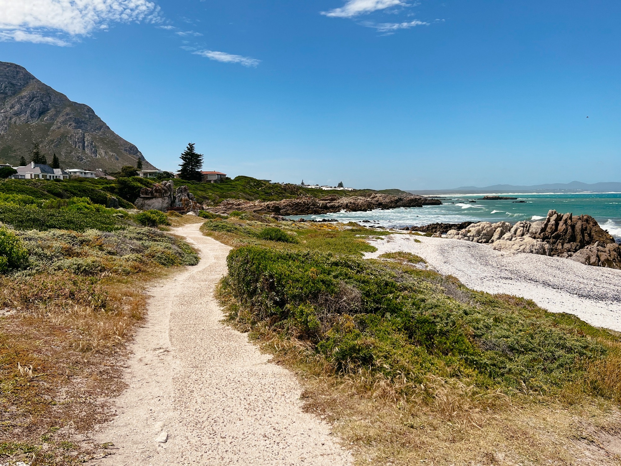 Hermanus in Südafrika: 12 Sehenswürdigkeiten & Reisetipps