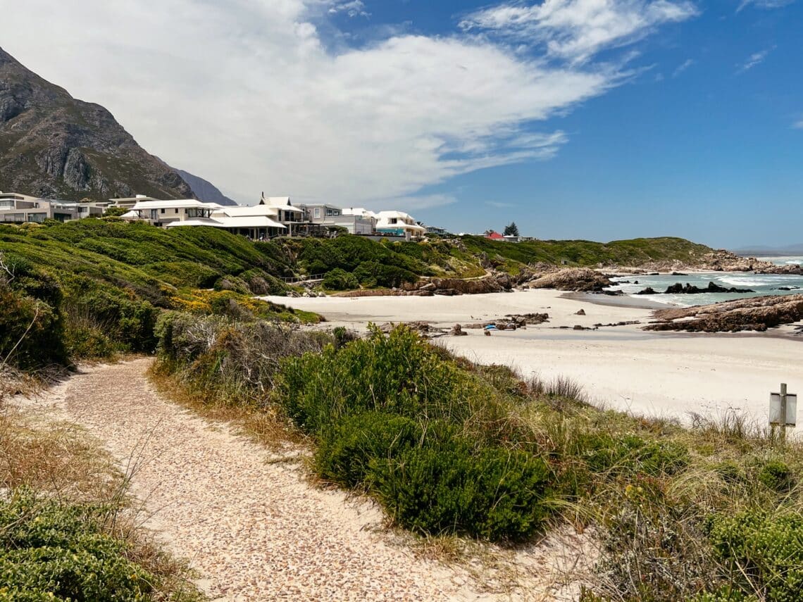 Hermanus in Südafrika: 12 Sehenswürdigkeiten & Reisetipps