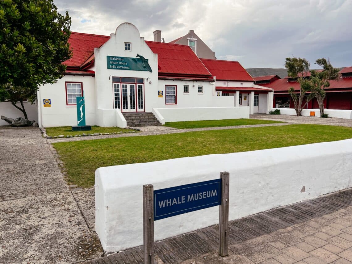 Hermanus in Südafrika: 12 Sehenswürdigkeiten & Reisetipps