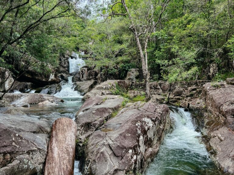 Paluma Range Nationalpark im Norden von Australien: 10 Tipps